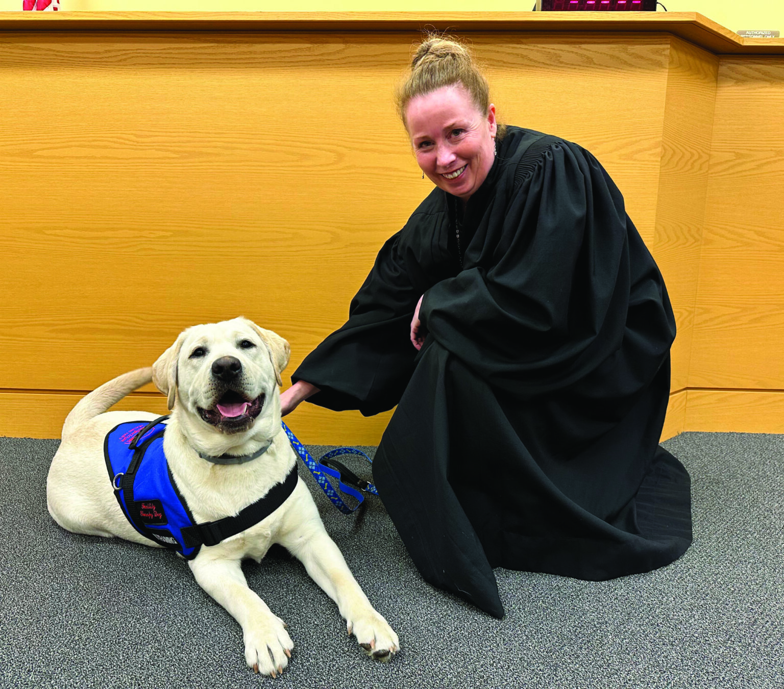 Paw and Order: Meet Jack, New Hampshire’s Newest Canine Professional - NHBA