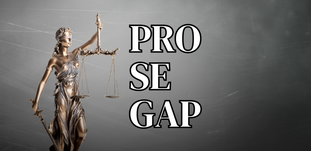 The Unrepresented Party: Examining the New Hampshire Pro Se Gap - NHBA